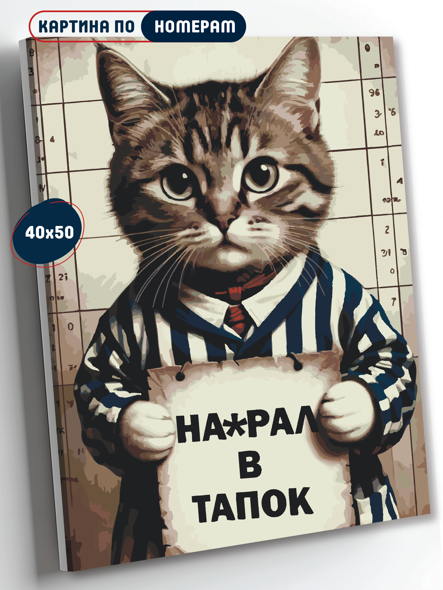 Картина по номерам "Кот. На_рал в тапок", Холст на подрамнике 40х50, набор для рисования