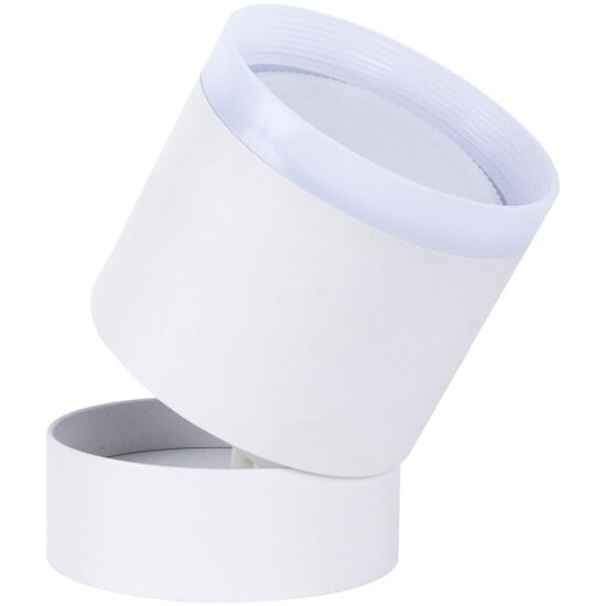 Накладной потолочный светильник Favourite 4709-1C