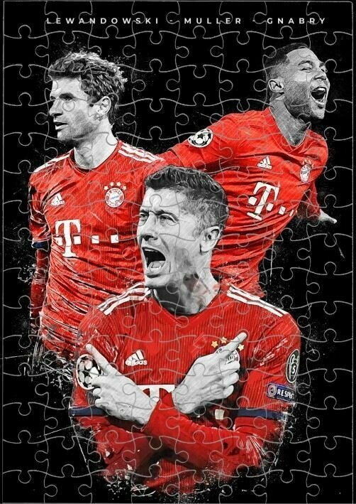 Пазл Бавария, Bayern №2