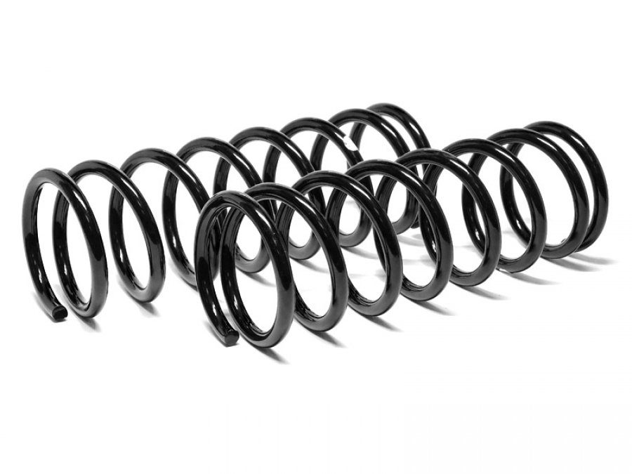 FOBOS 1658 (5535038800) комплект пружин задних