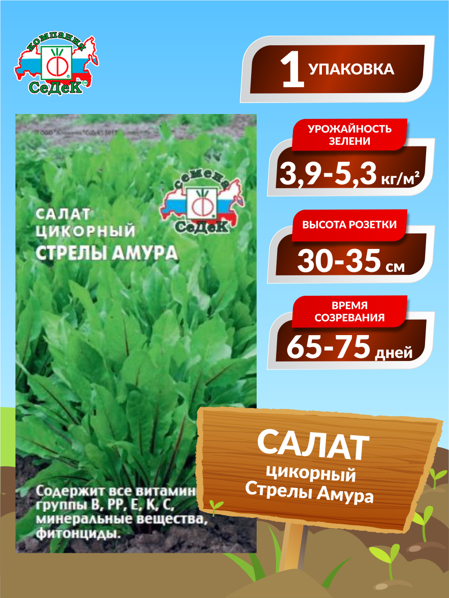 Семена Салат Стрелы Амура Цикорный Среднеранние 0,5 гр.