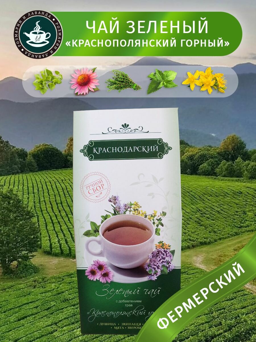 Зелёный чай фермерский Солохаульский Краснополянский горный