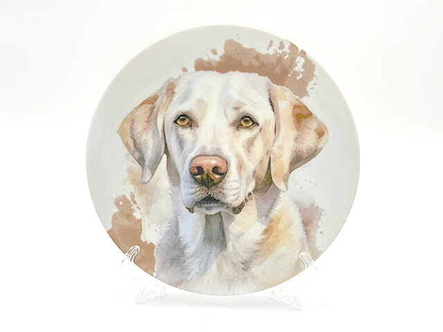 Тарелка обеденная Мой питомец Арчи фарфор 20см Добрушский фарфоровый завод