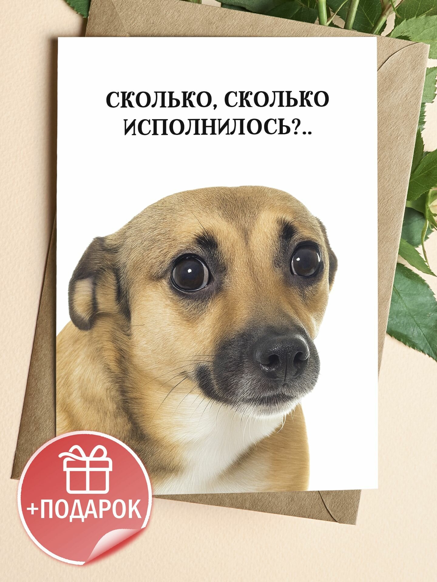 Открытка мемная с собакой и приколом на день рождения
