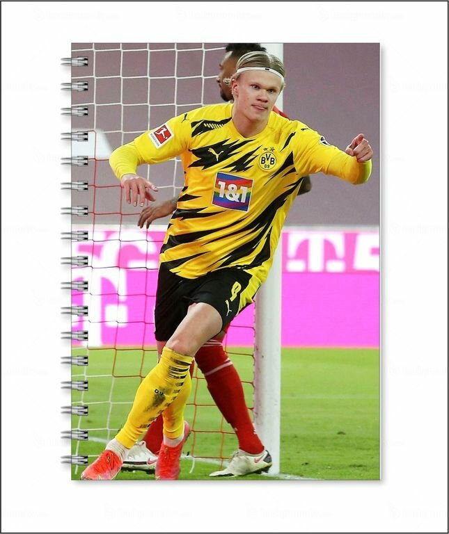 Тетрадь Эрлинг Холанн, Erling Haaland №1