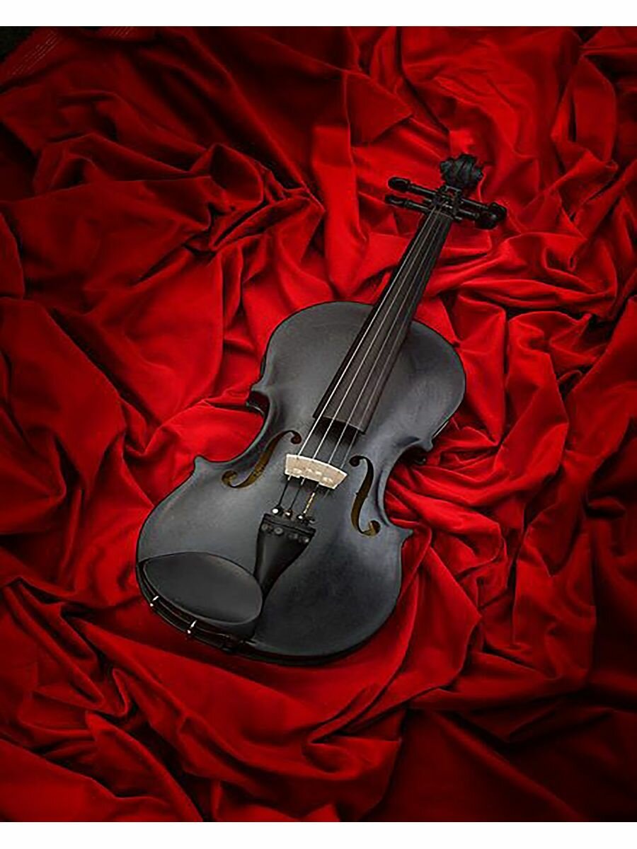 Картина по номерам "Скрипка" 40х50 см, хлопковый холст на подрамнике, акрил, АртТойс