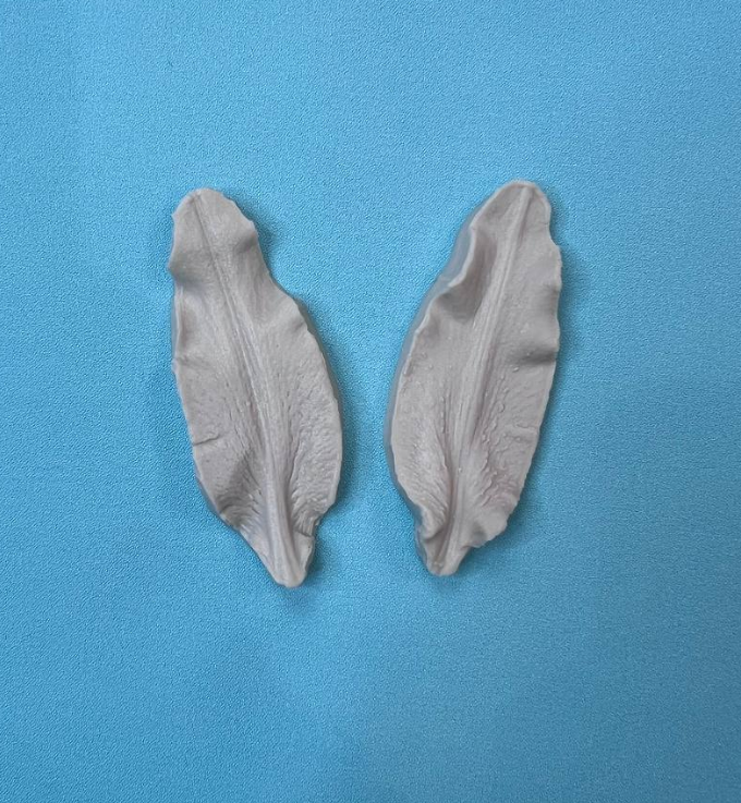 Вайнер лепесток лилии волнистый