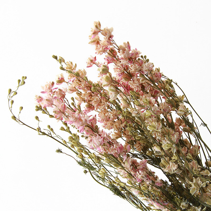 Букет Fanatic "Рапсодия", дельфиниум, сушеный, 10шт, розовый