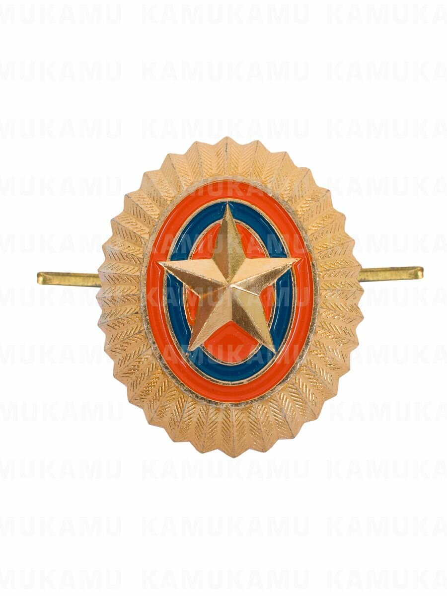Кокарда МЧС малая нового образца 700385