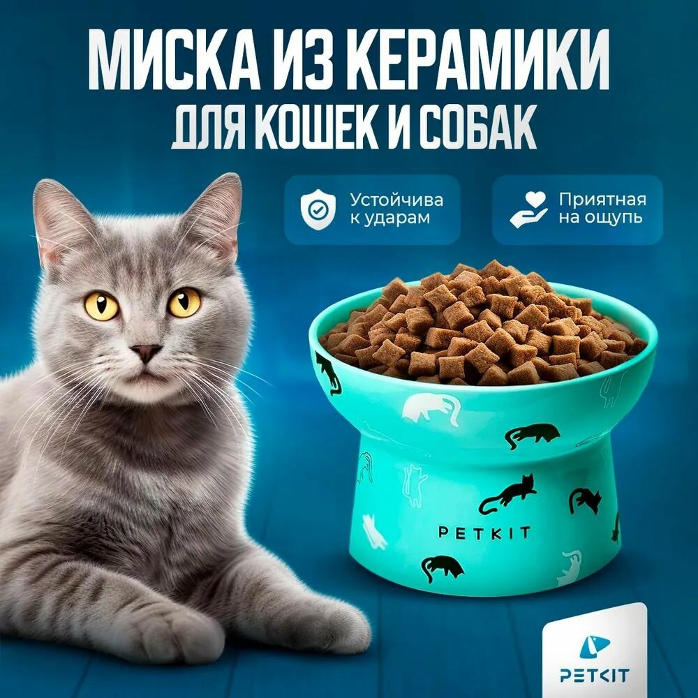 2025 Керамическая миска XL для кошек и собак PETKIT