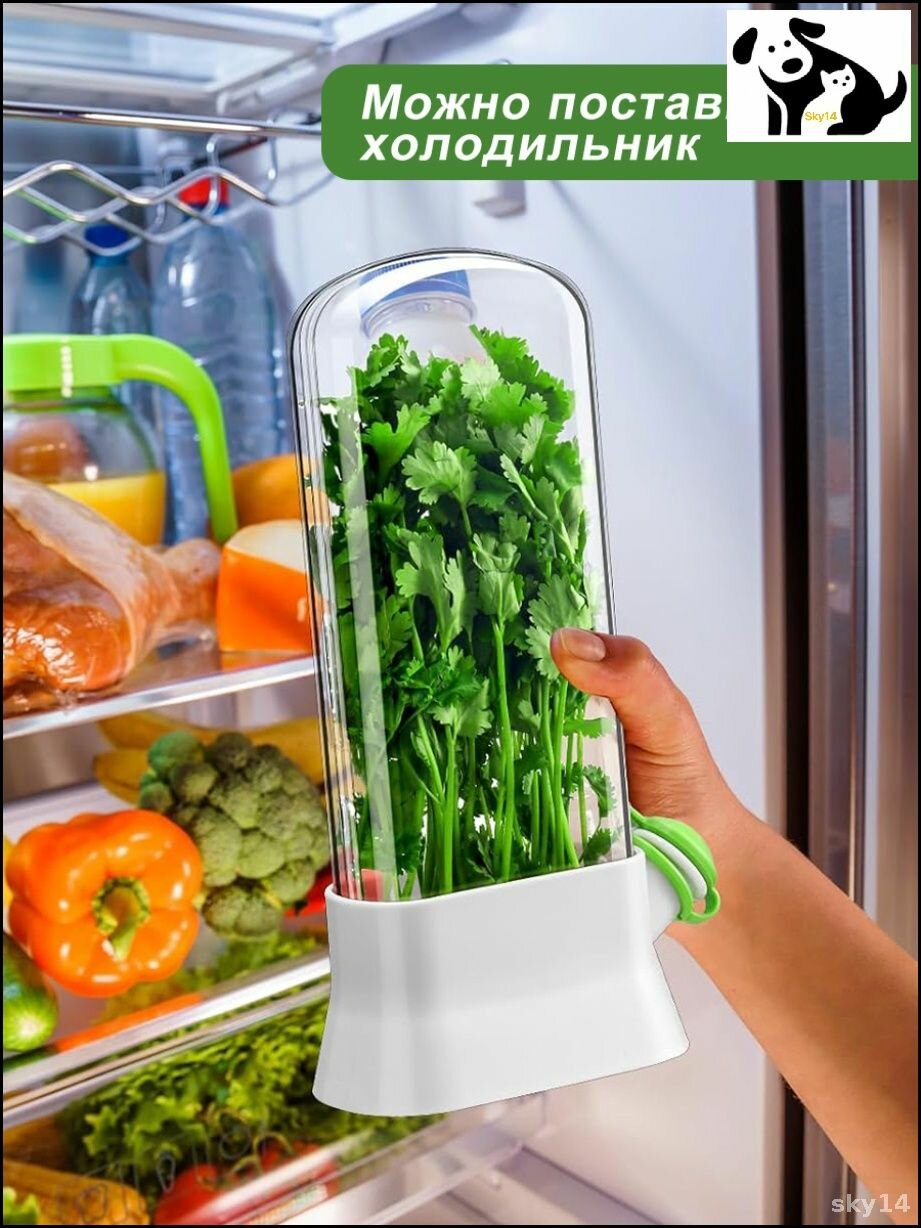 Эксклюзивный контейнер 500 мл для холодильника