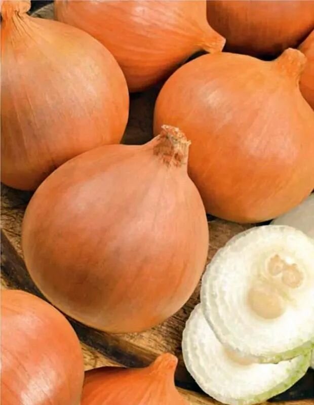 Коллекционные семена лука репчатый Бастион