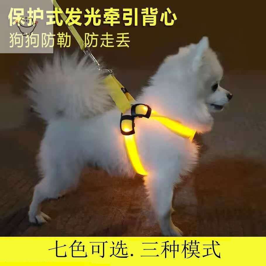 Шлейка для маленьких и средних собак, нейлон, регулируемая, светящаяся