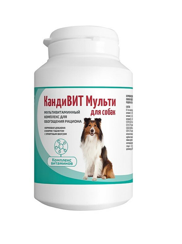 Витамины для собак КандиВИТ Мульти, мультивитаминный комплекс, 50 таб