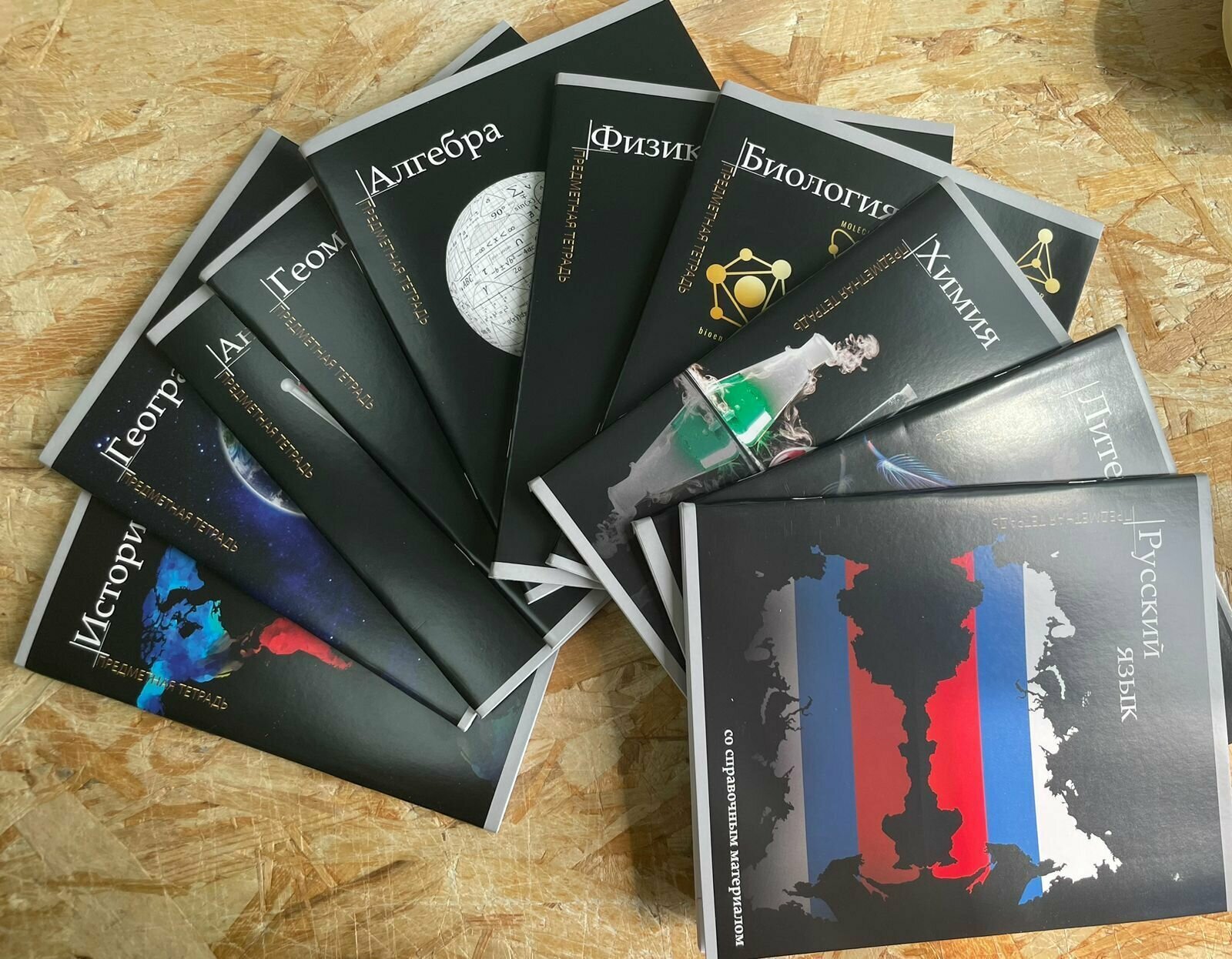 Тетради предметные со справочным материалом, комплект 10 предметов, 48 л глянцевый УФ-лак, тетрадки
