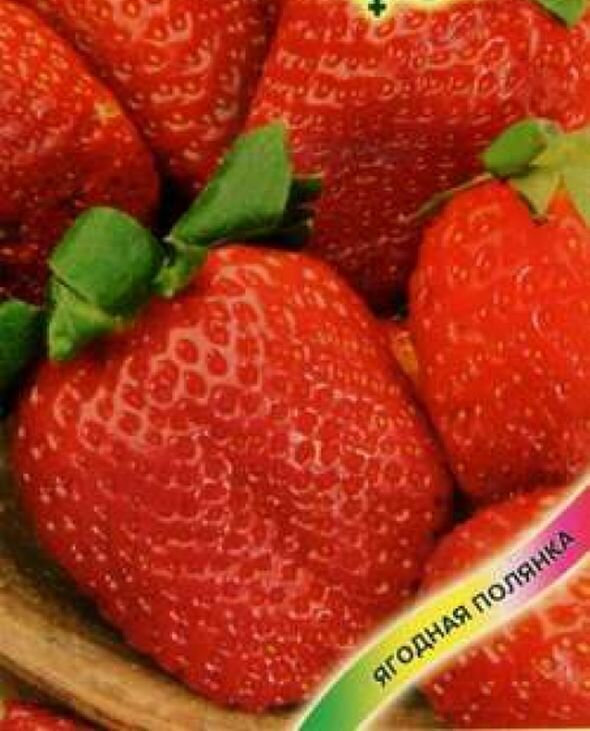 Семена Земляника Заря пробирка 10 шт.