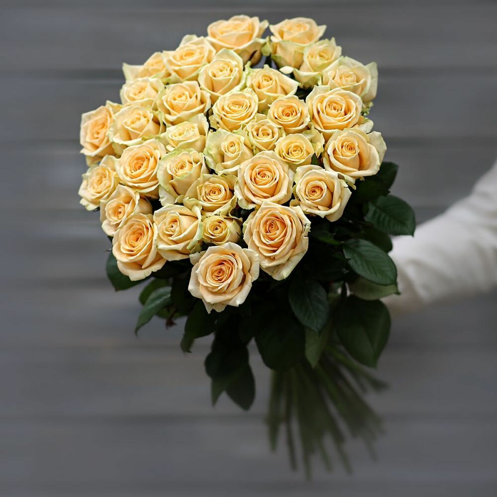 Букет живых цветов из 31 кремовой розы (Россия) с лентой 60 см