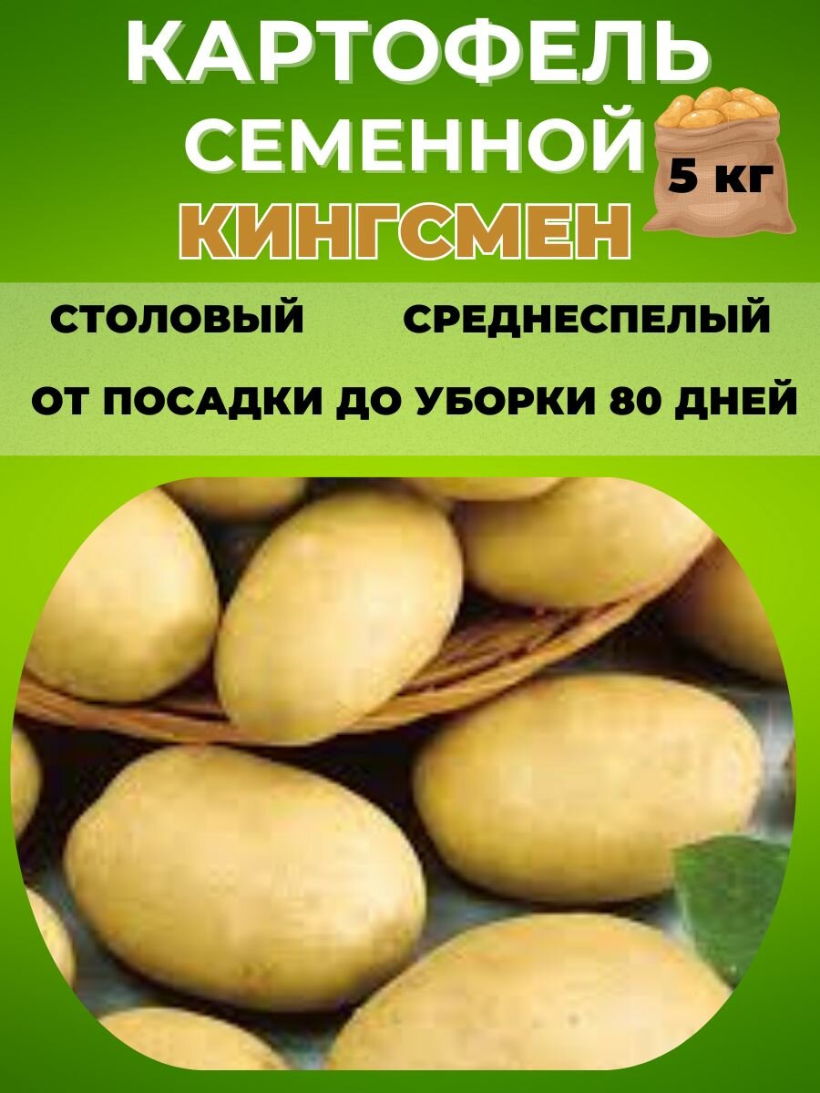 Картофель семенной, клубни на посадку 5кг