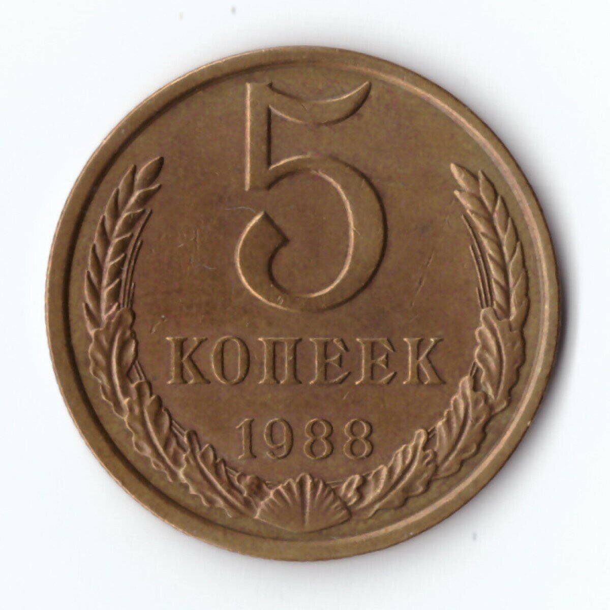 5 копеек 1988 г. Коллекционная XF