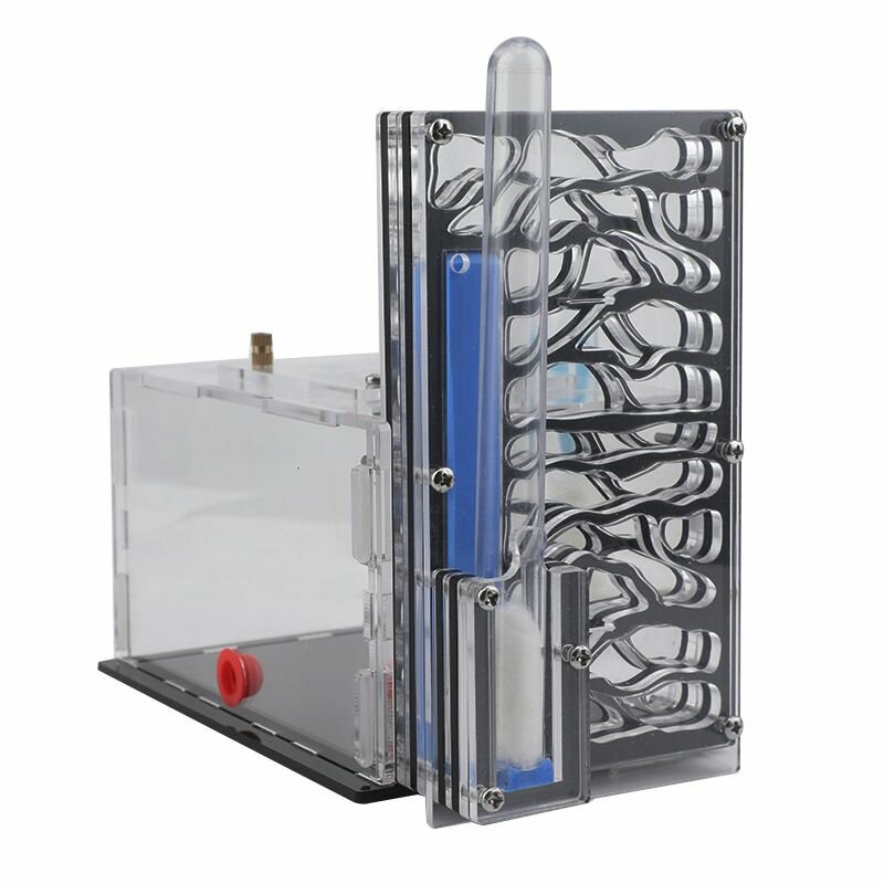 Муравьиная ферма "Замок", формикарий вертикальный, прозрачный