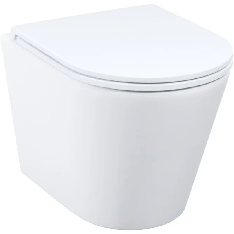 Унитаз подвесной IDDIS Calipso CALRNSEi25 безободковый, с микролифтом