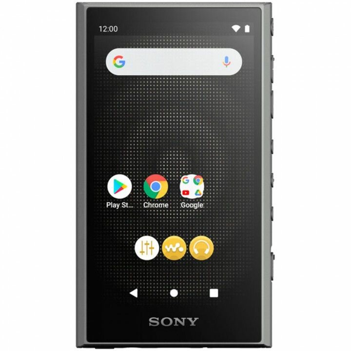 Sony NW-A306, Цифровой MP3-плеер (серый)