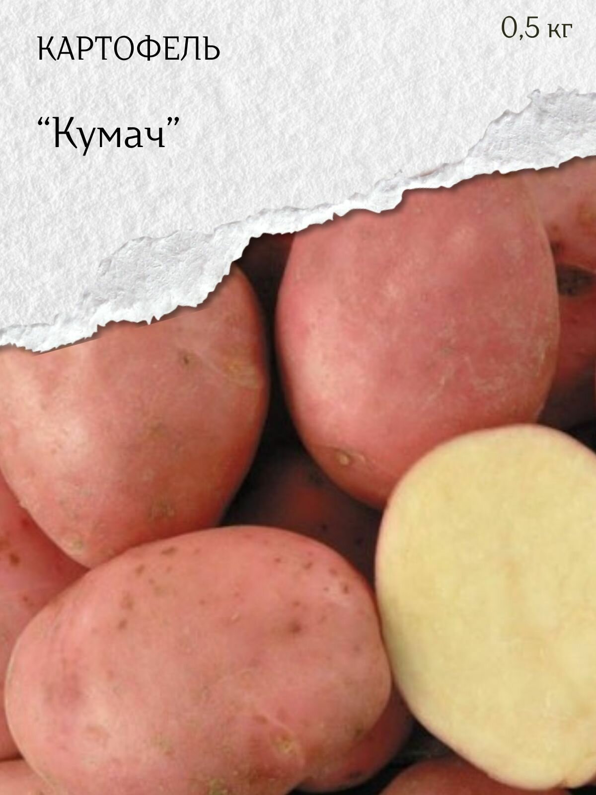 Картофель семенной красный Кумач клубни на посадку 500 гр.