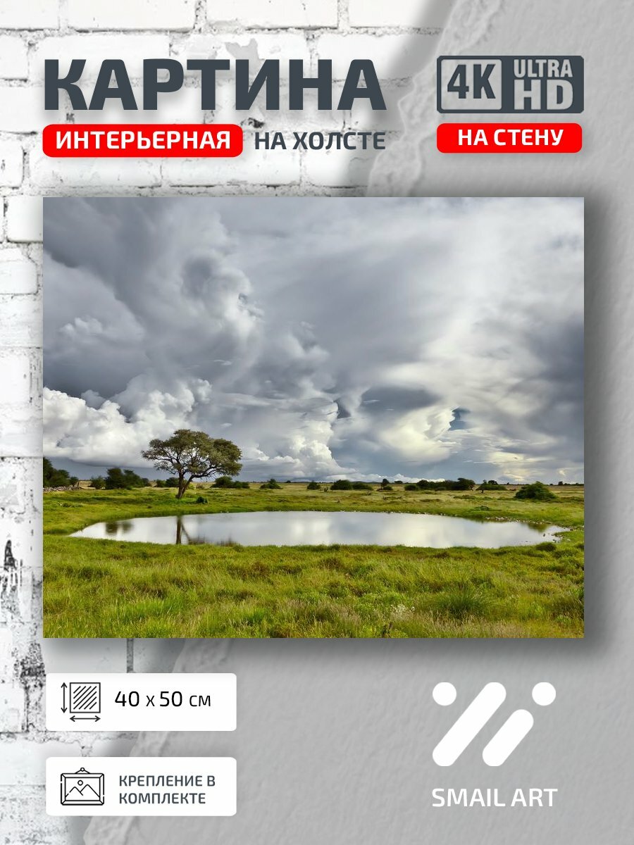 Картина на холсте интерьерная 40 на 50 на стену Степи Landscape для гостиной пейзаж декор