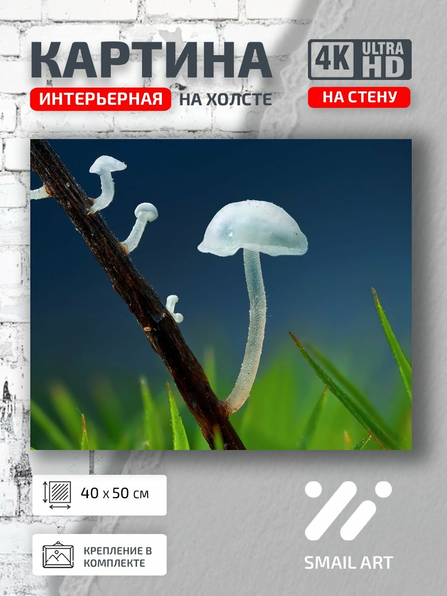 Картина на холсте интерьерная 40 на 50 на стену Гриб Landscape для офиса пейзаж интерьер