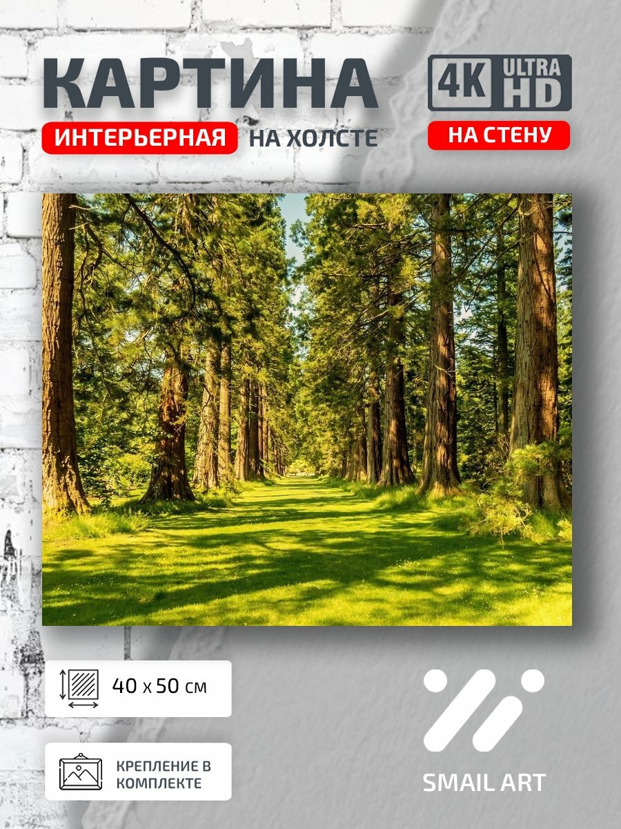 Картина на холсте интерьерная 40 на 50 на стену Трава Landscape для кафе пейзаж интерьер