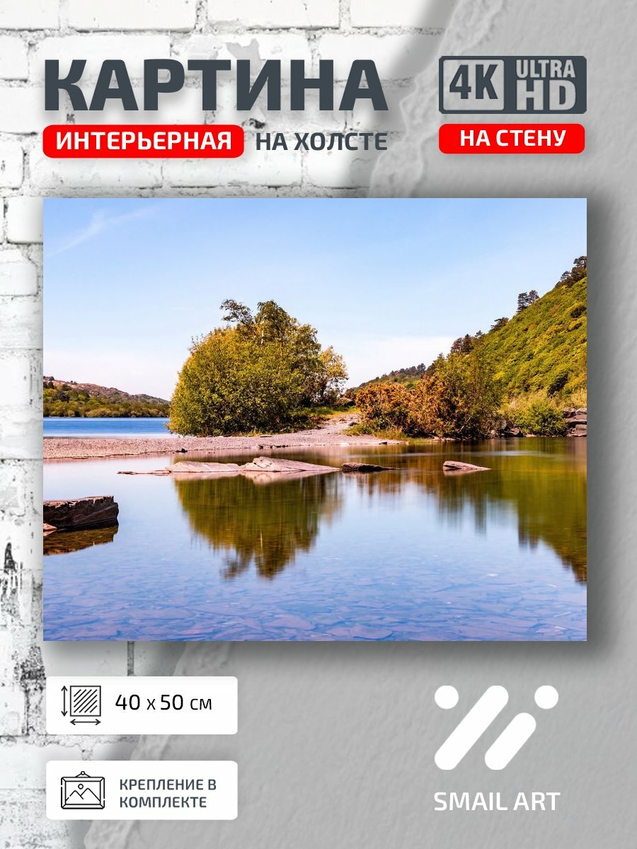 Картина на холсте интерьерная 40 на 50 на стену Дерево Landscape для кабинета пейзаж декор