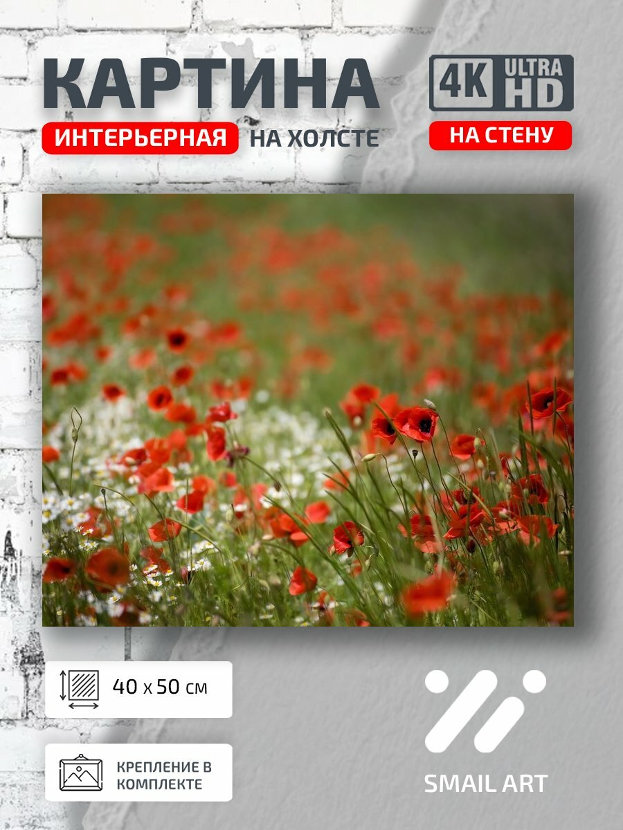 Картина на холсте интерьерная 40 на 50 на стену Поляна Landscape для офиса пейзаж интерьер