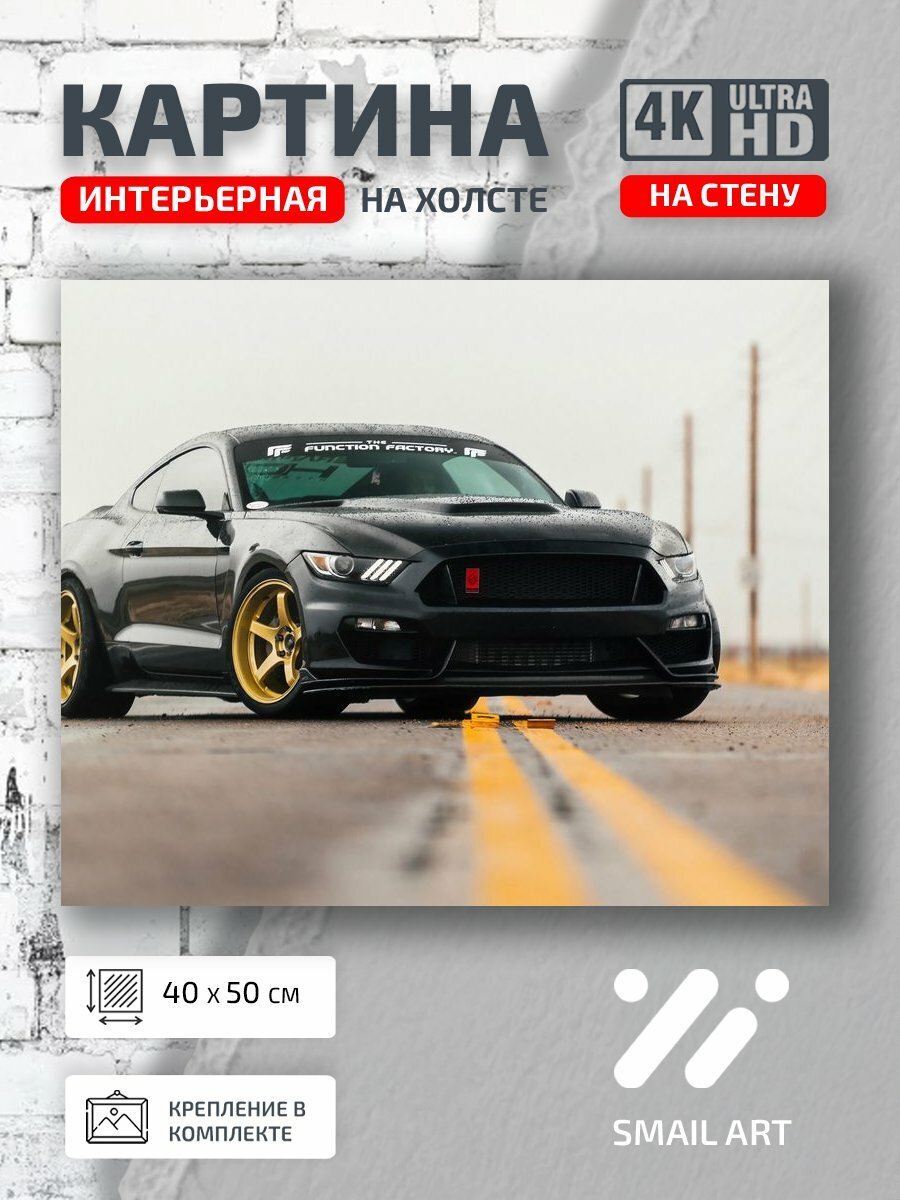 Картина на холсте интерьерная 40 на 50 на стену Дорога mustang для студии авто дизайн декор