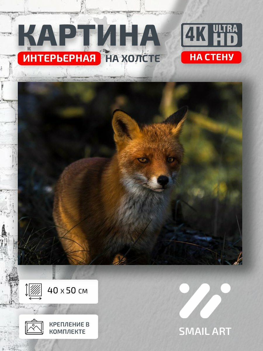 Картина на холсте интерьерная 40 на 50 на стену Вгляд Animal для гостиной animal style