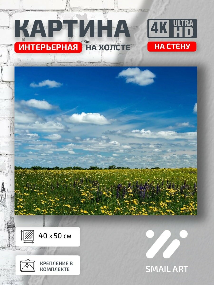 Картина на холсте интерьерная 40 на 50 на стену Природа Поле для гостиной пейзаж