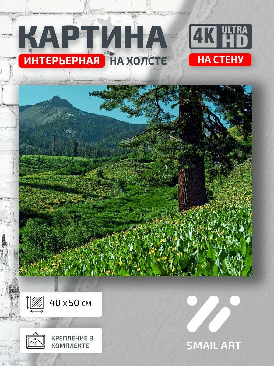 Картина на холсте интерьерная 40 на 50 на стену Холмы Landscape для кафе пейзаж интерьер