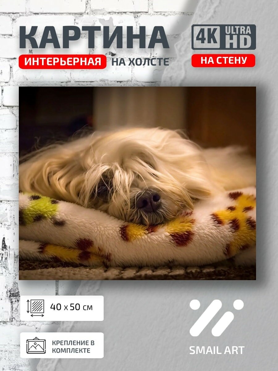 Картина на холсте интерьерная 40 на 50 на стену Животные Пес для кабинета атмосфера