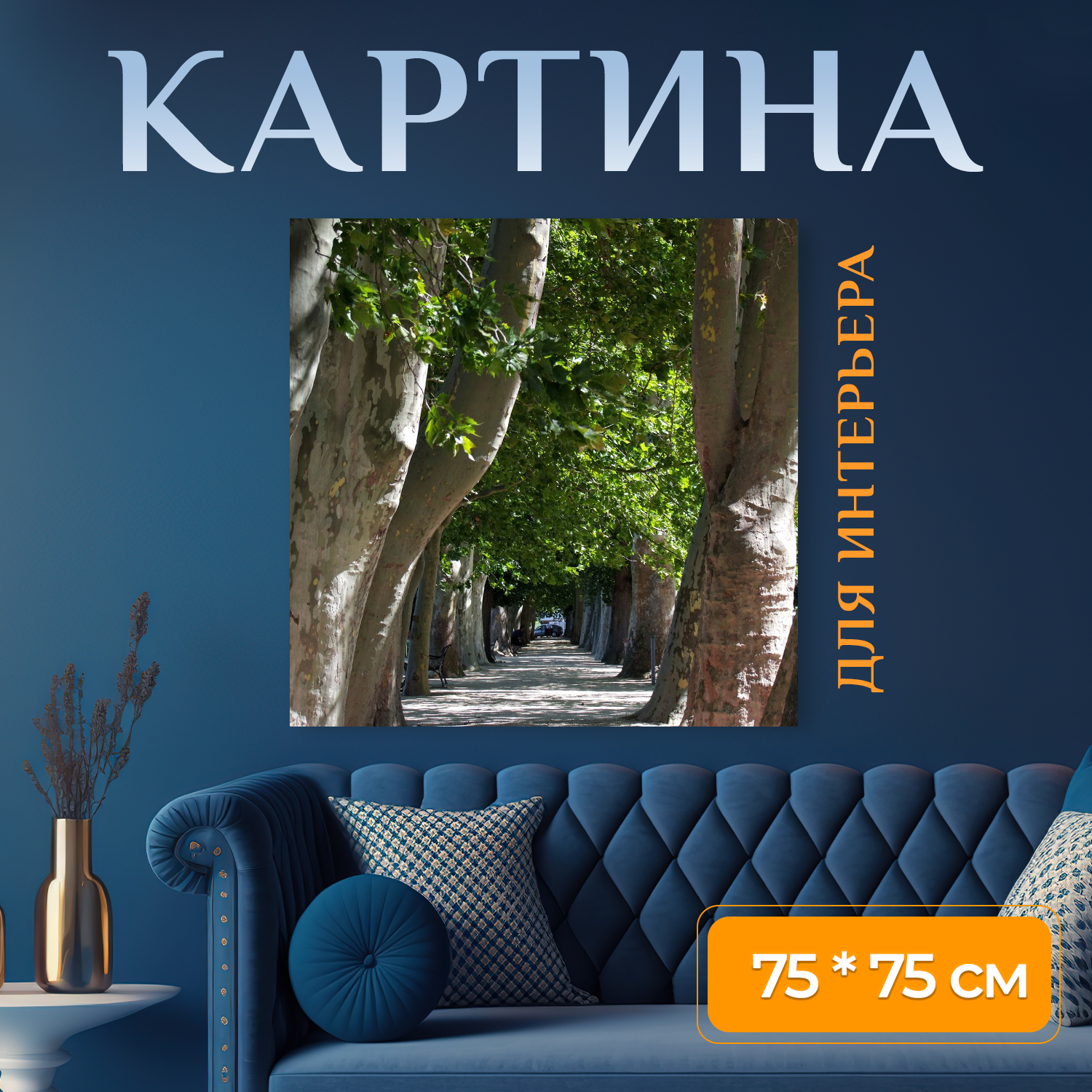 Картина на холсте "Дорога, деревья, платан" на подрамнике 75х75 см. для интерьера