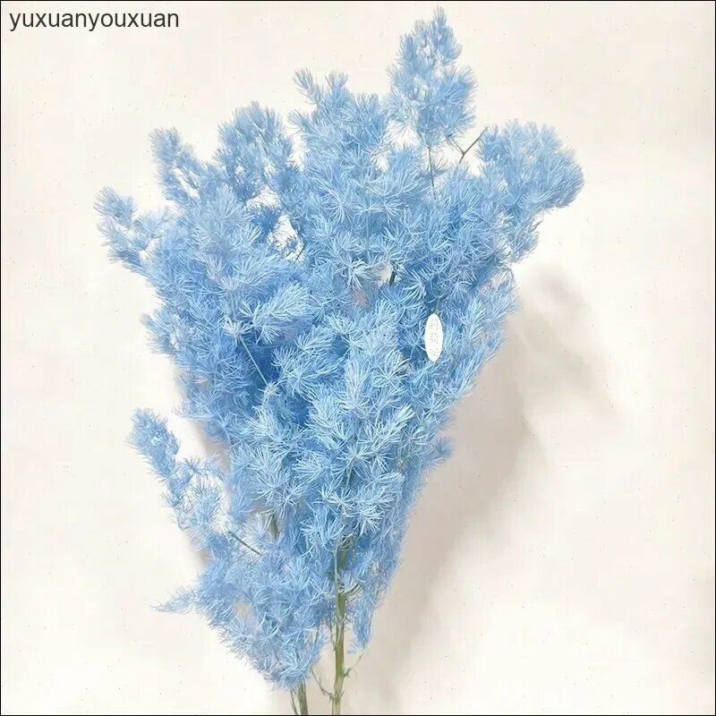 Стабилизированные цветы Аспарагус, 40.00 см, 100.00 гр