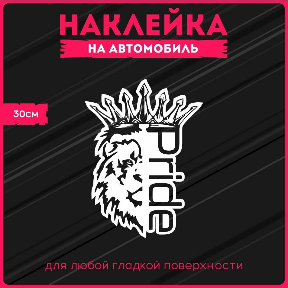 Наклейки на авто Прайд 30х22 см, красникова, наклейка тюнинг, на автомобиль, машину, прикольные