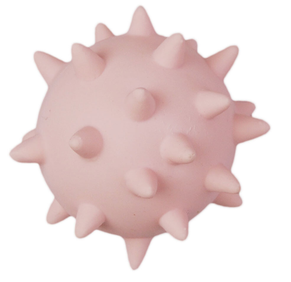 Игрушка для собак средних и мелких пород Japan Premium Pet латексная в форме мяча с шипами.