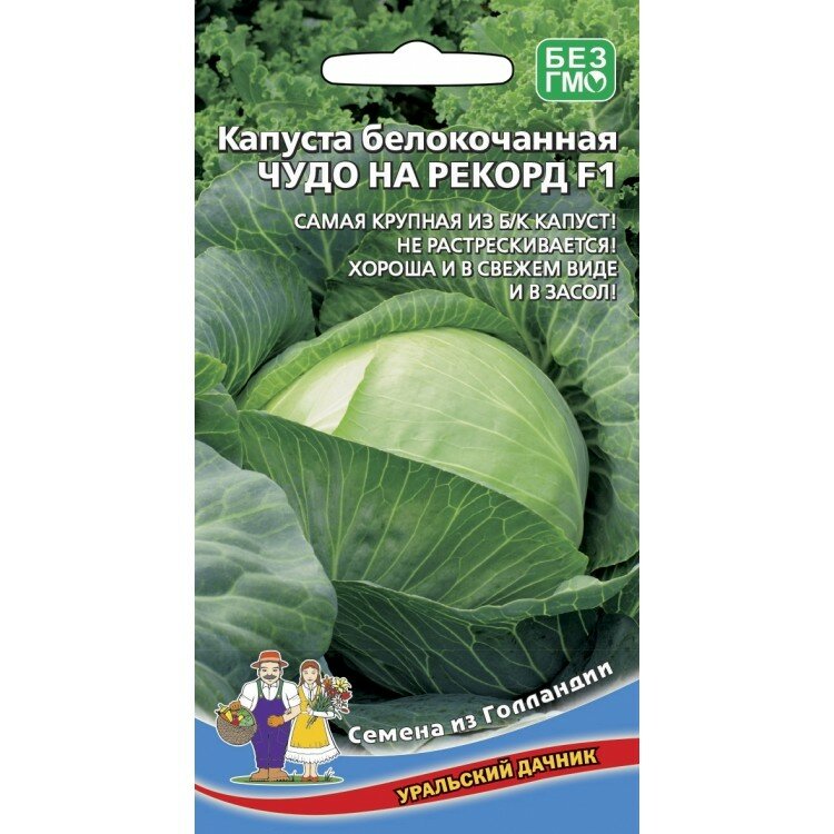 Капуста б/к Чудо на рекорд F1 0,3г (Уральский дачник)