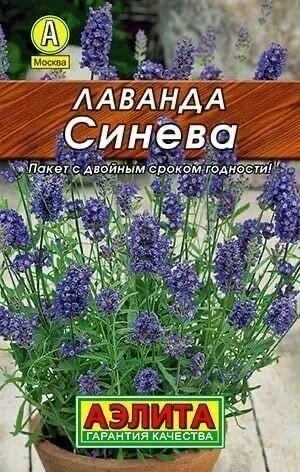 Лаванда Синева ( 3 упаковки семян )