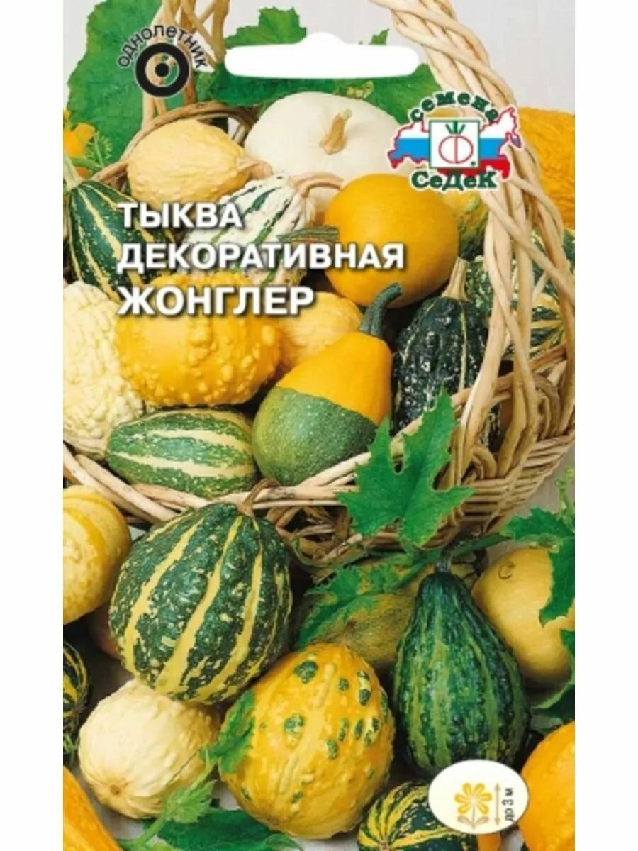 Тыква декоративная Жонглер (3 упаковки семян), семена