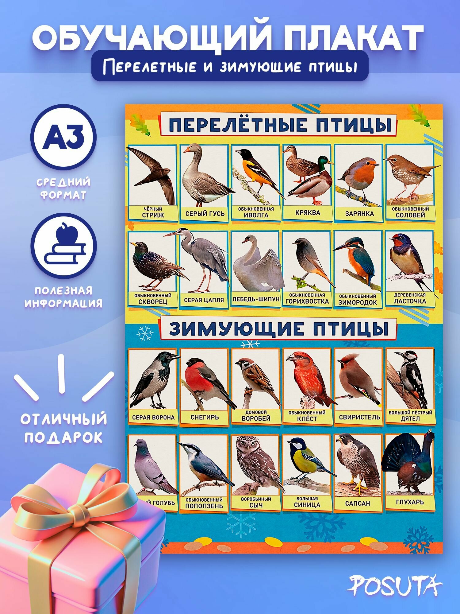 Постеры на стену Перелетные птицы Зимующие птицы