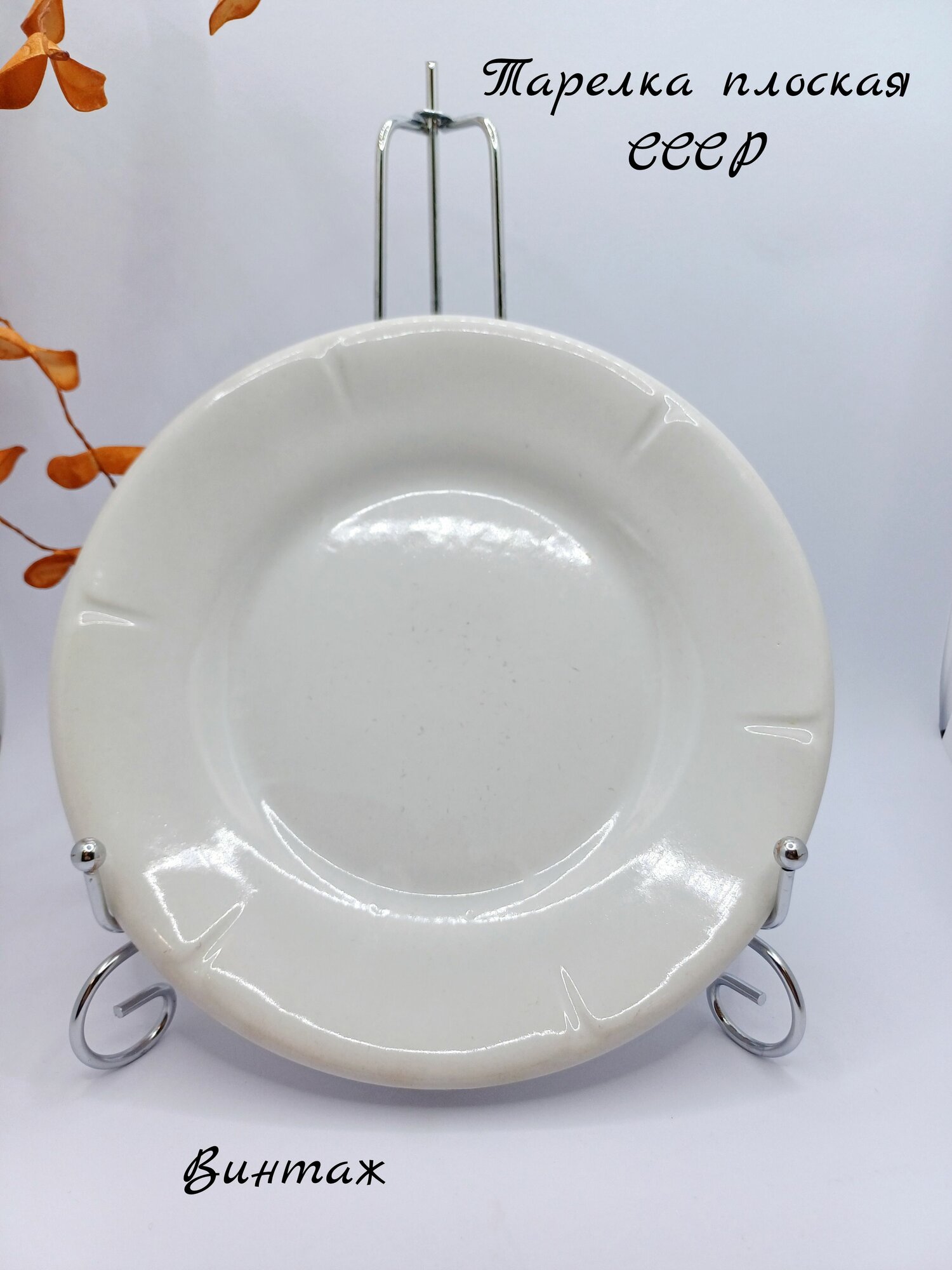 Тарелка плоская Общепит винтажная, фарфор, Богдановический фарфоровый завод СССР