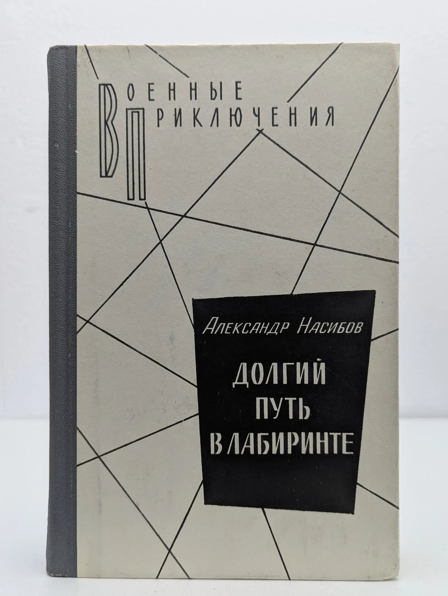 Долгий путь в лабиринте Насибов Александр Ашотович 1989