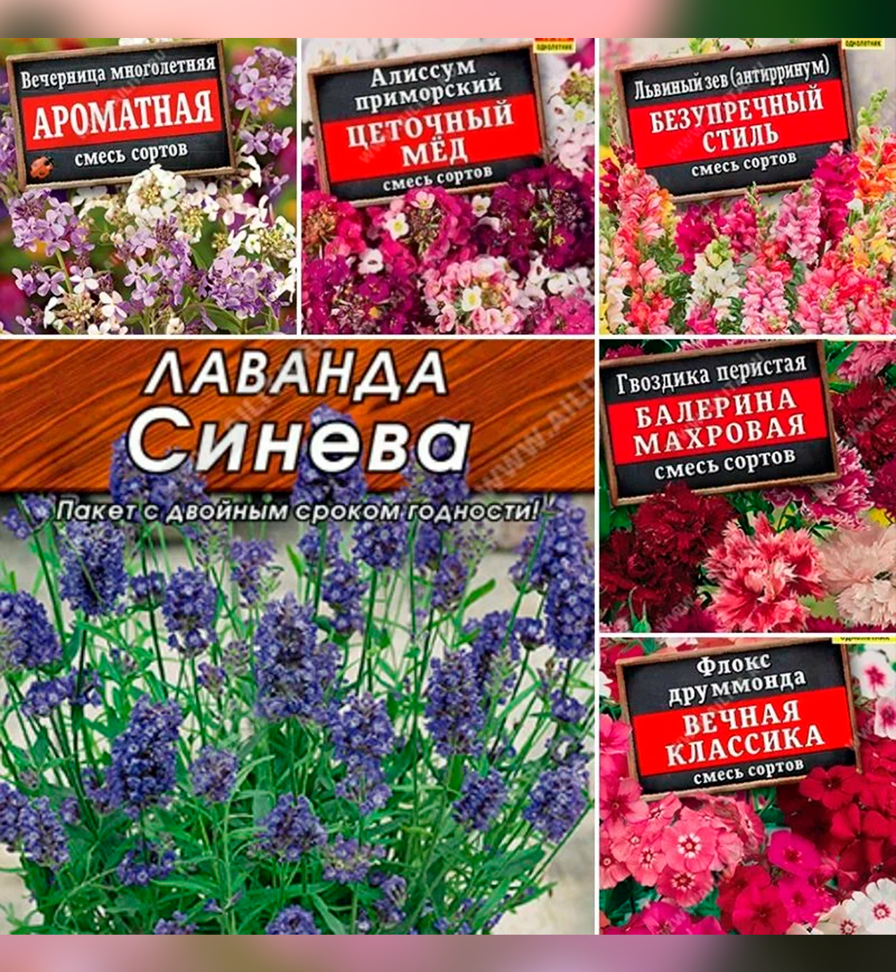 Набор семян Ароматные цветы 6 пачек/ вечерница, алиссум, антирринум, лаванда, гвоздика, флокс