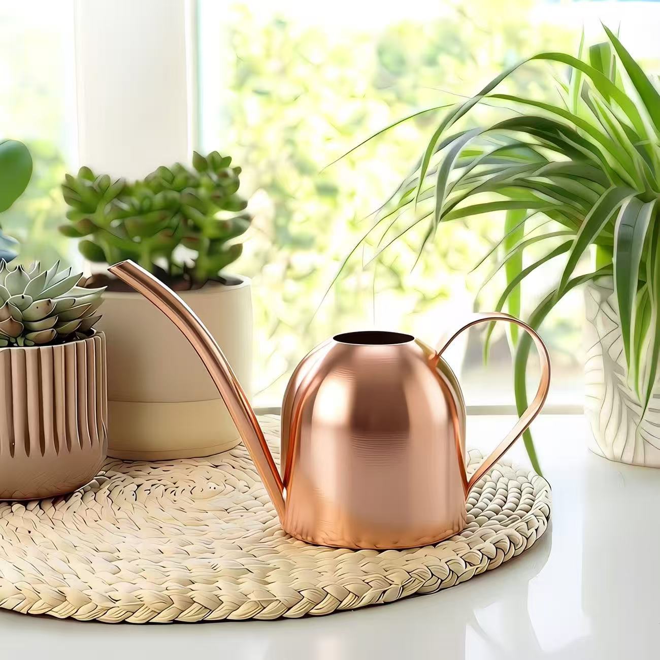 Лейка , для комнатных растений, нержавеющая сталь,1 шт,500ML,22*12.3cm，розовое золото