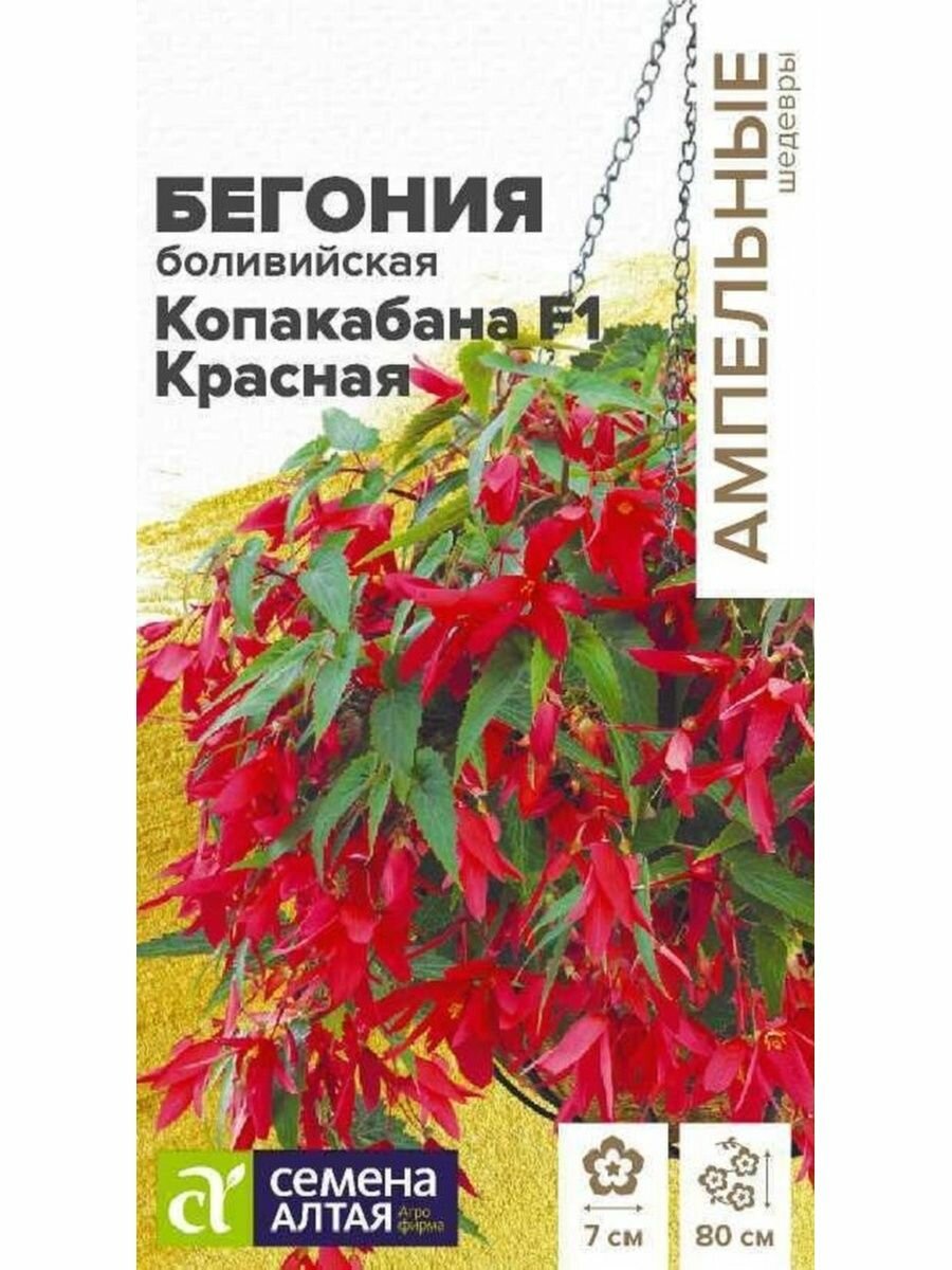 Бегония Копакабана Красная